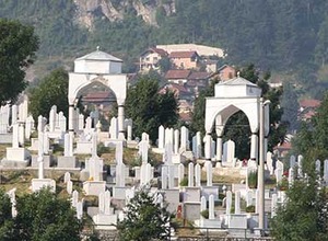 Navigator | Alifakovac