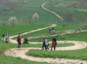 Navigator | Park šuma Mojmilo